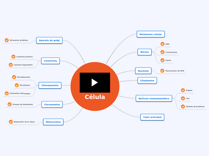 Célula - Mind Map